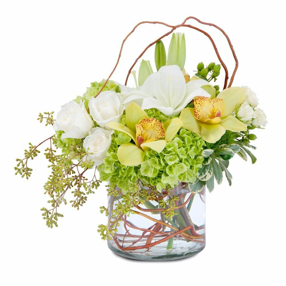 New Promise: Lilies, Roses, Orchids & Hydrangea | Shotwell Floral